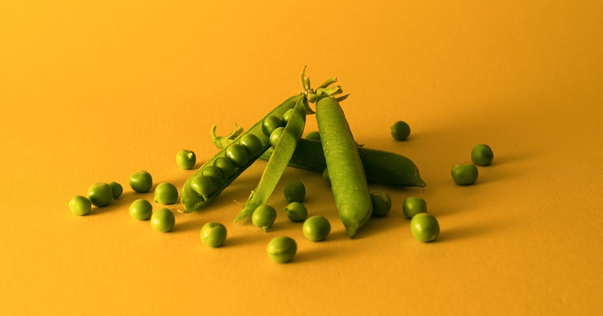 Vegetable Drawing Ideas That Are Surprisingly Fun to Sketch - Drawyager