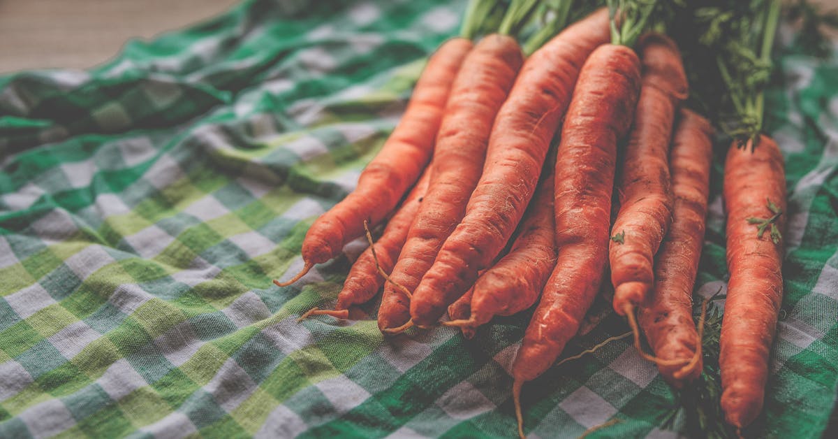 Vegetable Drawing Ideas That Are Surprisingly Fun to Sketch - Drawyager